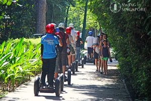 How to Get from the Airport to Sentosa Island using MRT? COMPLETE GUIDE