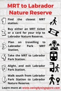 How to get to Labrador Nature Reserve by MRT? - COMPLETE GUIDE