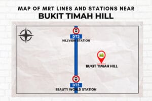 How to get to Bukit Timah Hill in Singapore? - Swing By Singapore